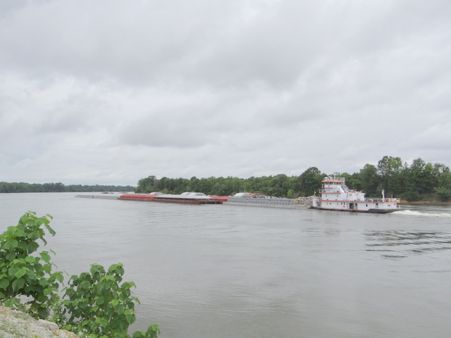 Skool'z Out Forever!: Clifton, Tennessee