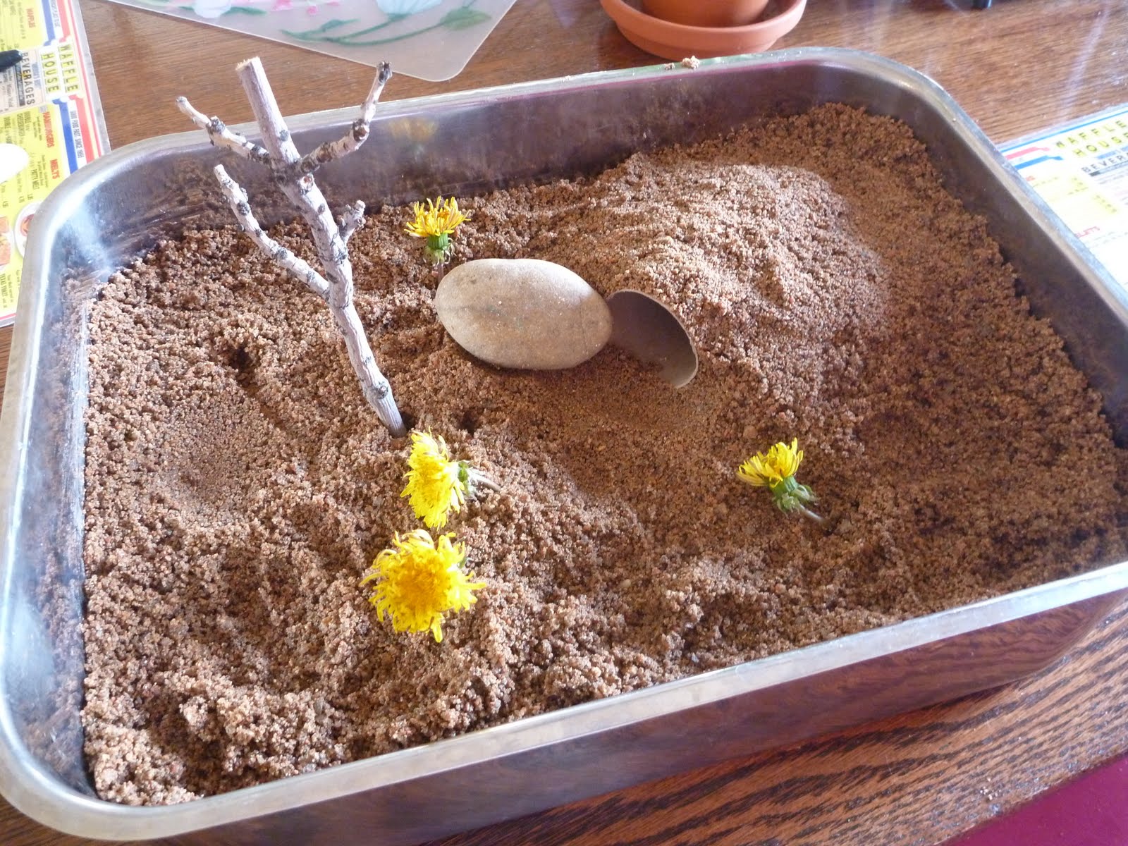 Outside the box!: Easter Garden