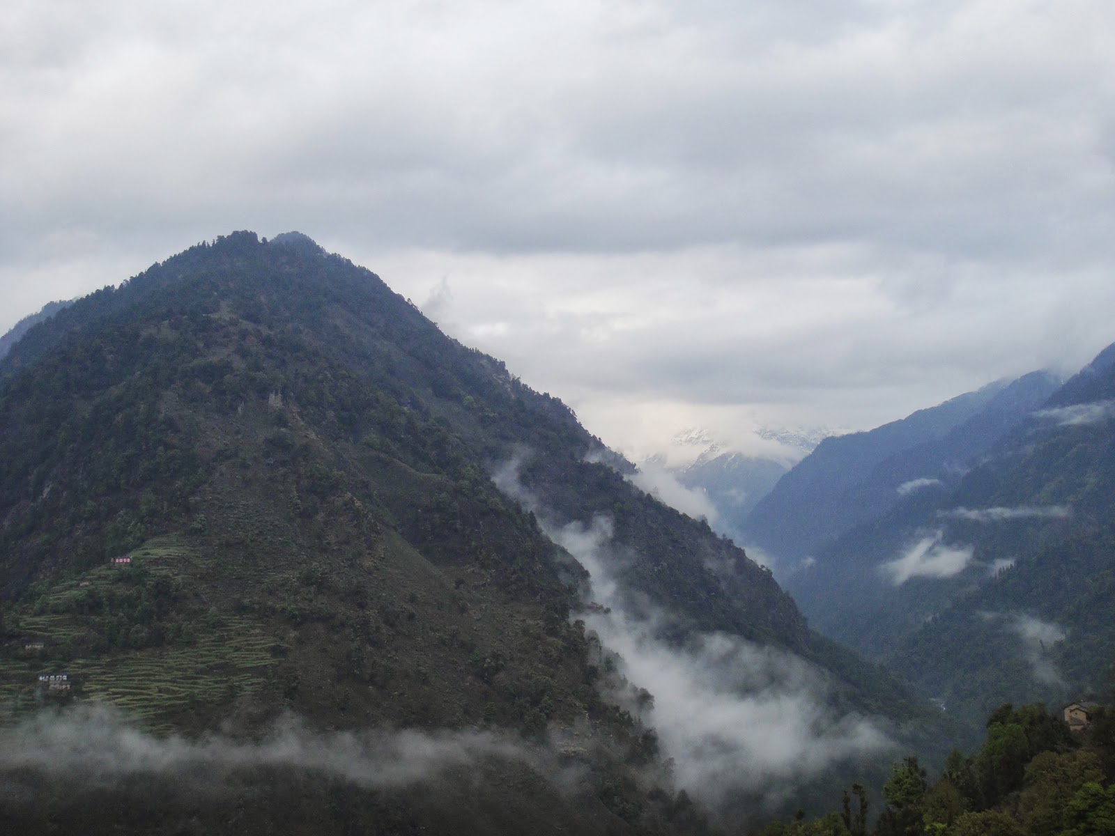A Walk in the Pindari Valley