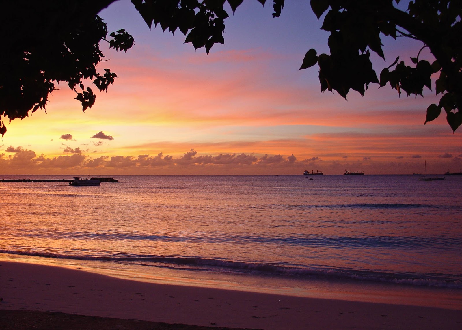 Photographer's Garden: Longer and longer