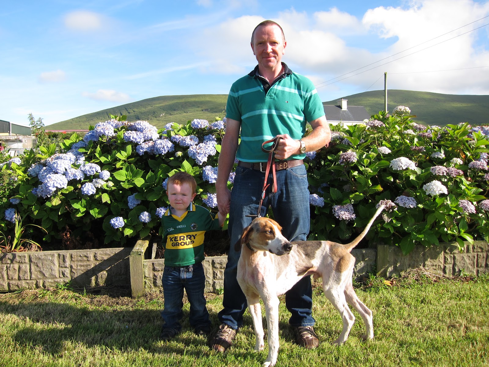 Kerry Beagle Association