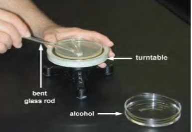 AsalSharing: INOKULASI DAN ISOLASI | asalshareinfo
