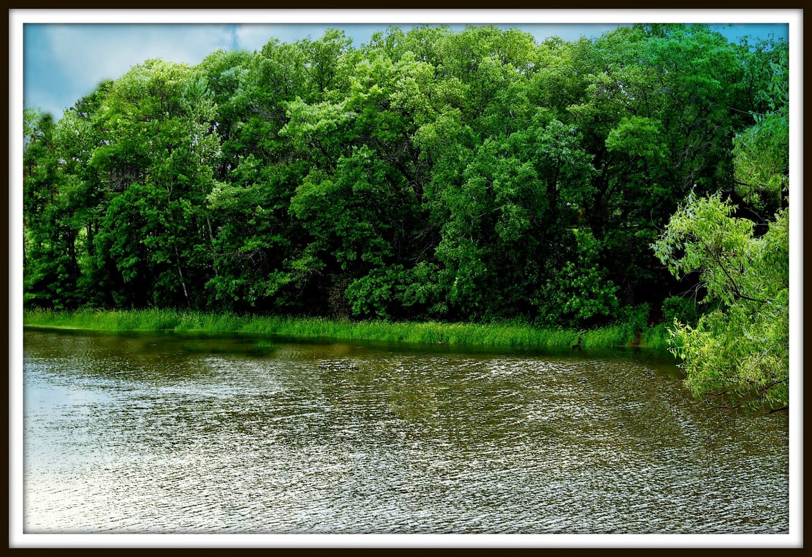 Reflections from Bon Bon Pond: More Summer Scenes