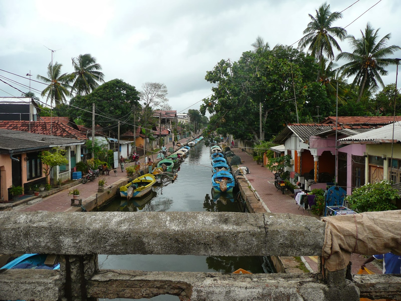 Mutterings of a Mid-Aged Mutt: Sri Lankan Icons