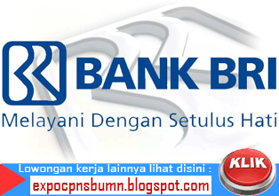 Lowongan Kerja PT Bank BRI Tbk Tahun 2019 - S1/S2 Staff PPS IT
