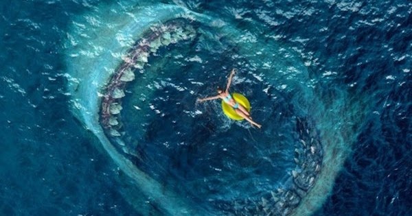 Box Office News: The Meg Eats The Competition
