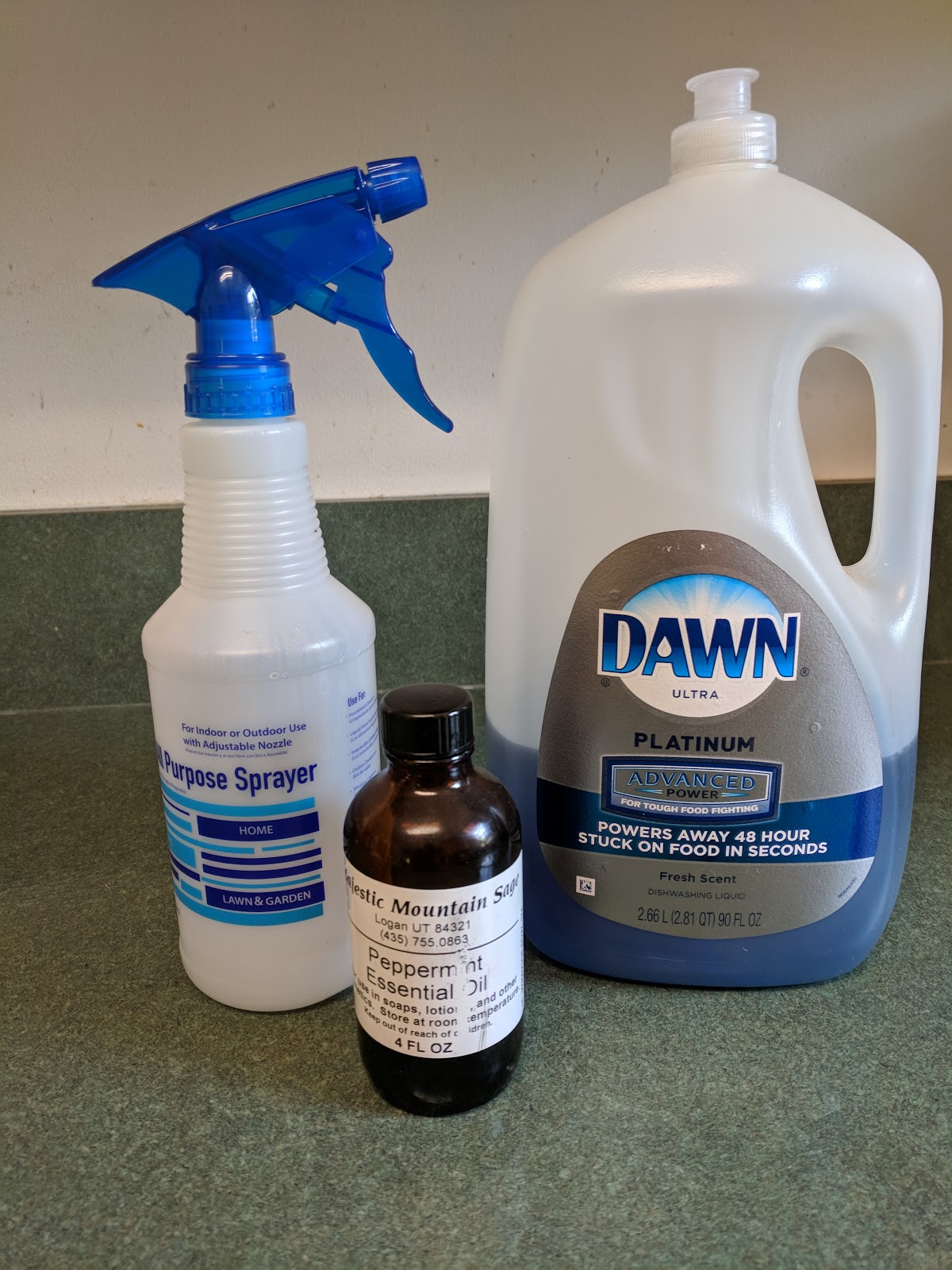 Wednesday Snap Shot & Frugal Homemade Wasp Trap