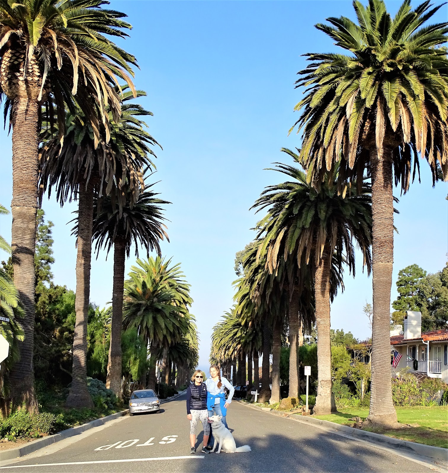 Prairiebreak: Christmas in Lala Land...glimpses of a winter escape