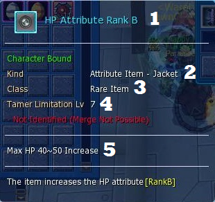 Digimon Masters Online Informations and Guides: Tamer's Equipment ...