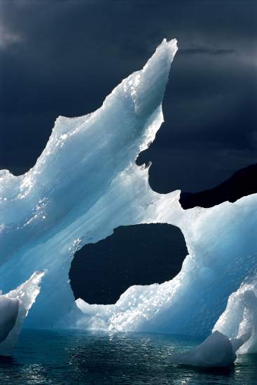 Un Mundo en Paz: Imágenes del Ártico