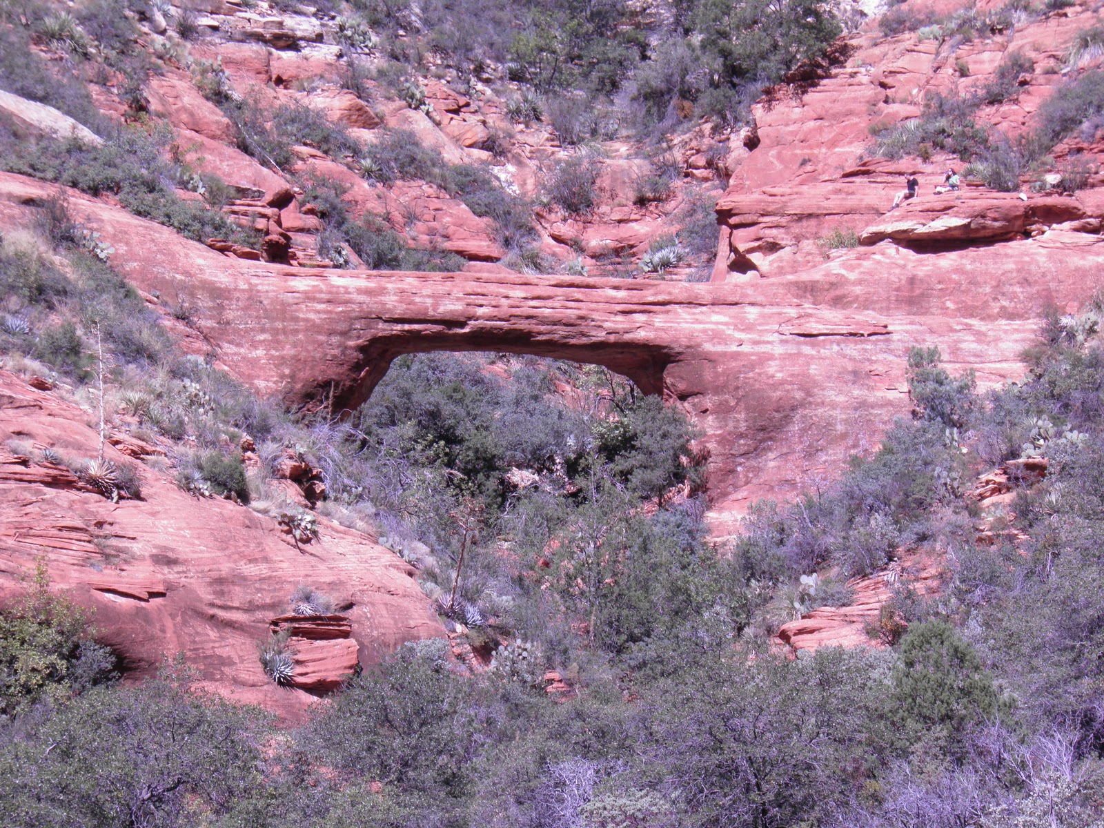 walking flagstaff: hiking to sterling pass and over to vultee arch