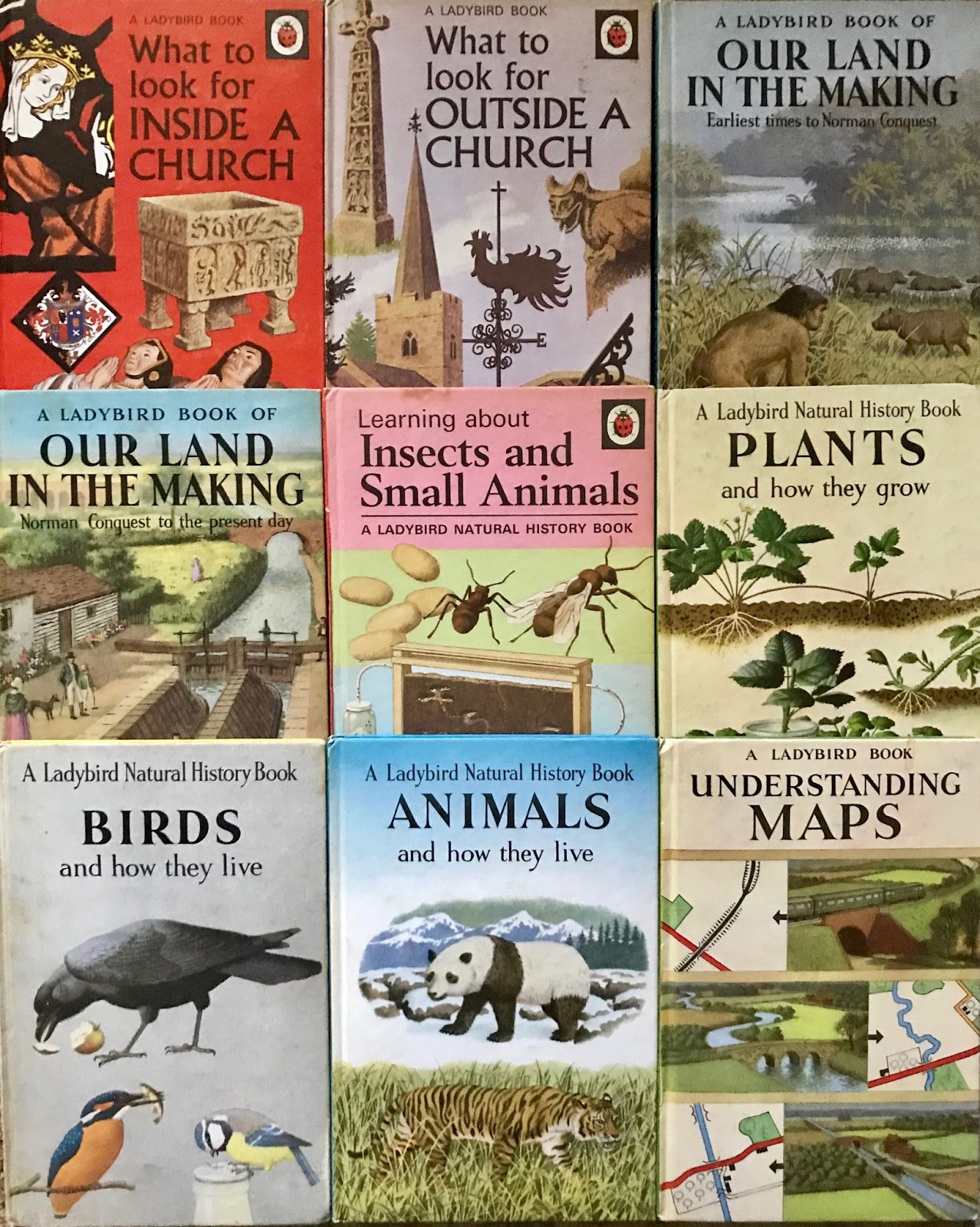 Ronald Lampitt • Ladybird Fly Away Home