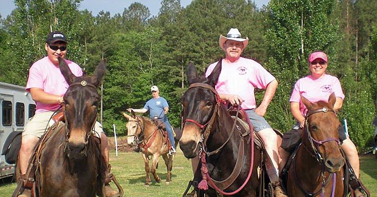 Carolina Mule Association: News