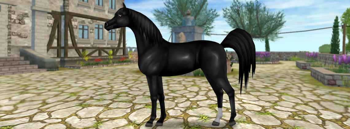 SSO-LisaSpidercobbler