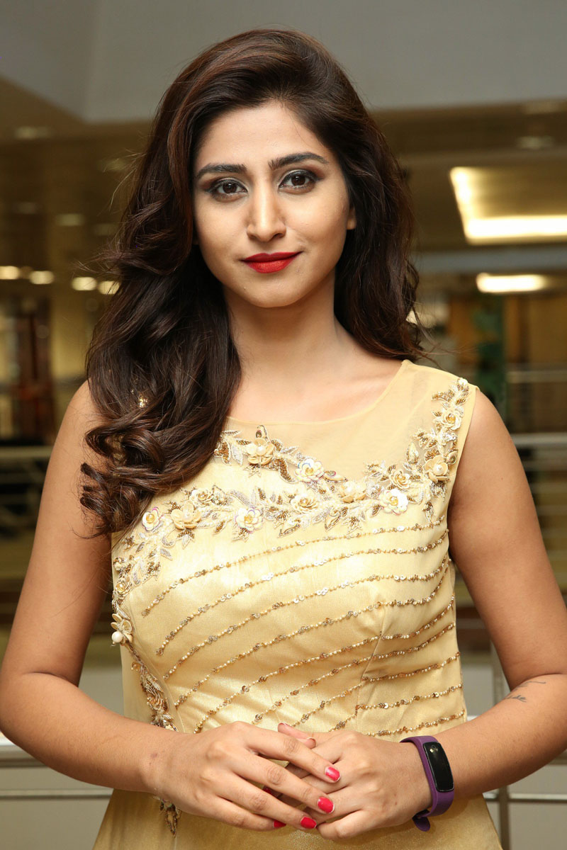 Actress Varshini Sounderajan Latest Photoshoot At Hi Life Exhibition