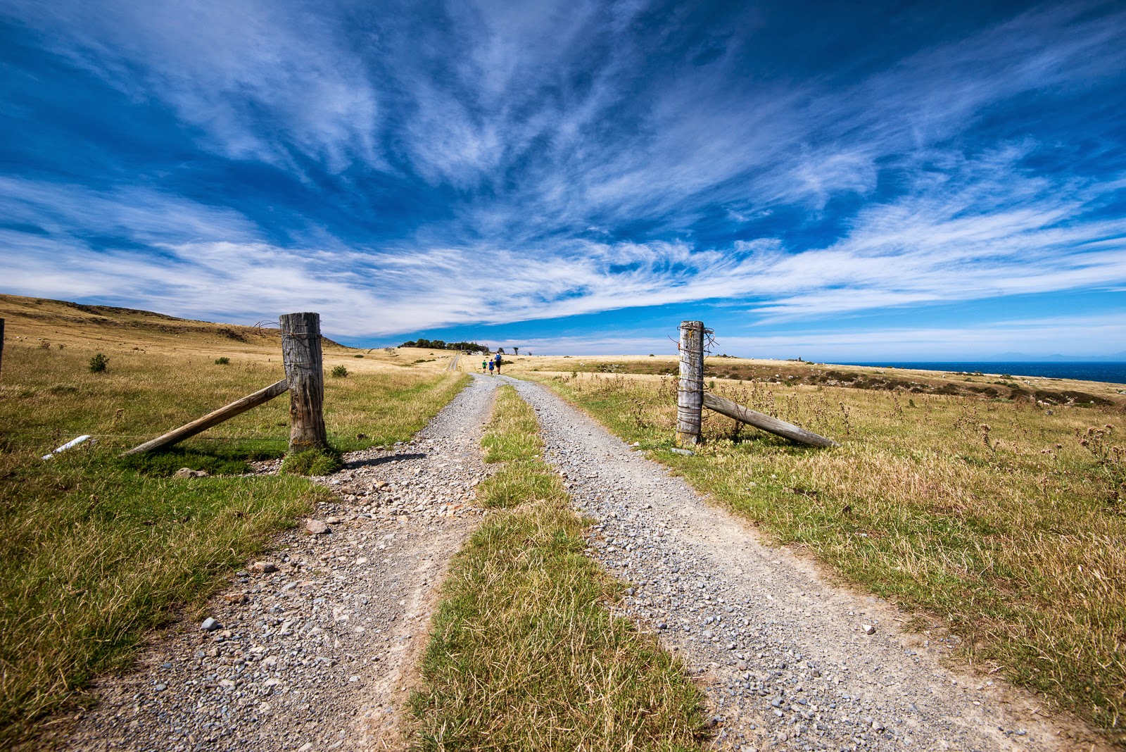 NZ Must Do: Adventures in Wellington - the walk to Baring Head ...