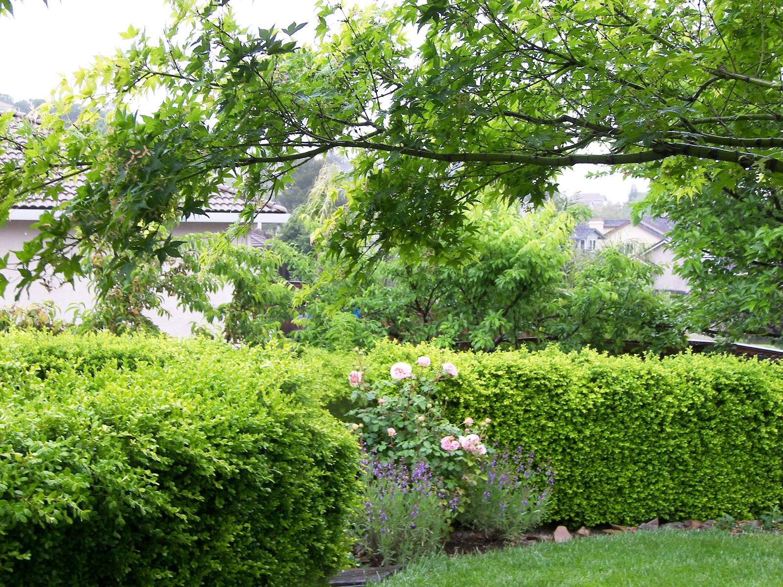 Mastering Horticulture: Gardening and Microclimate