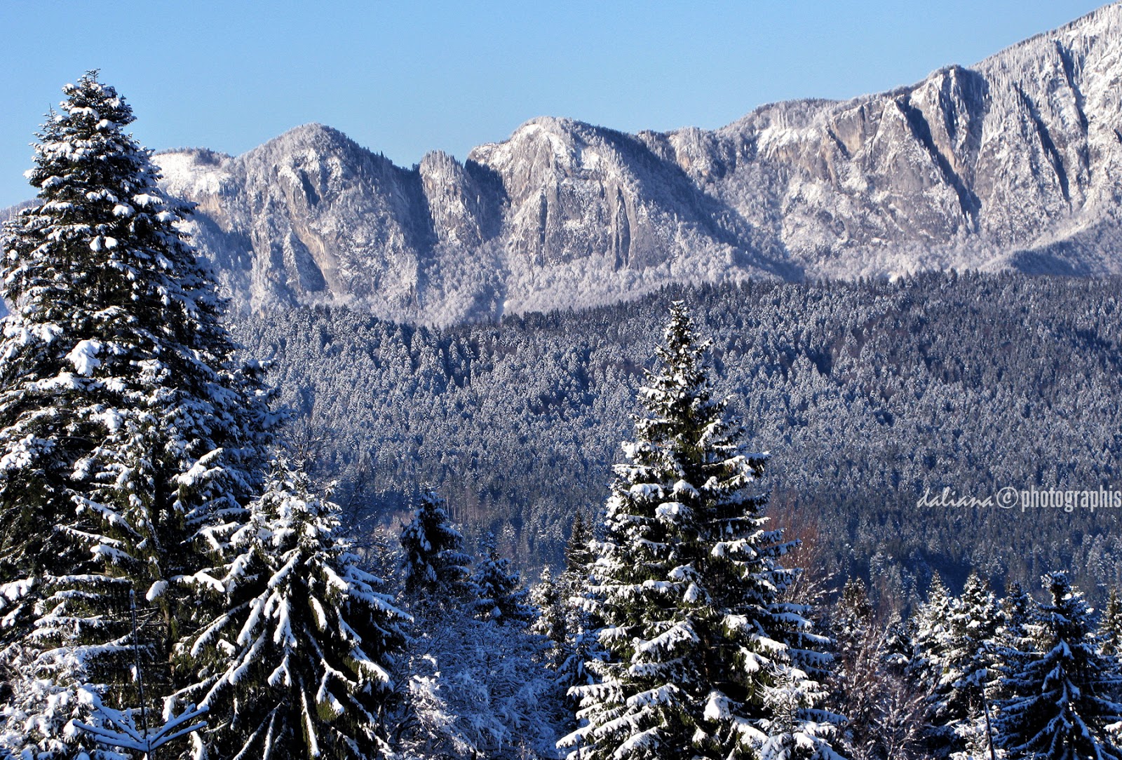 Photographis: Winter in Romania