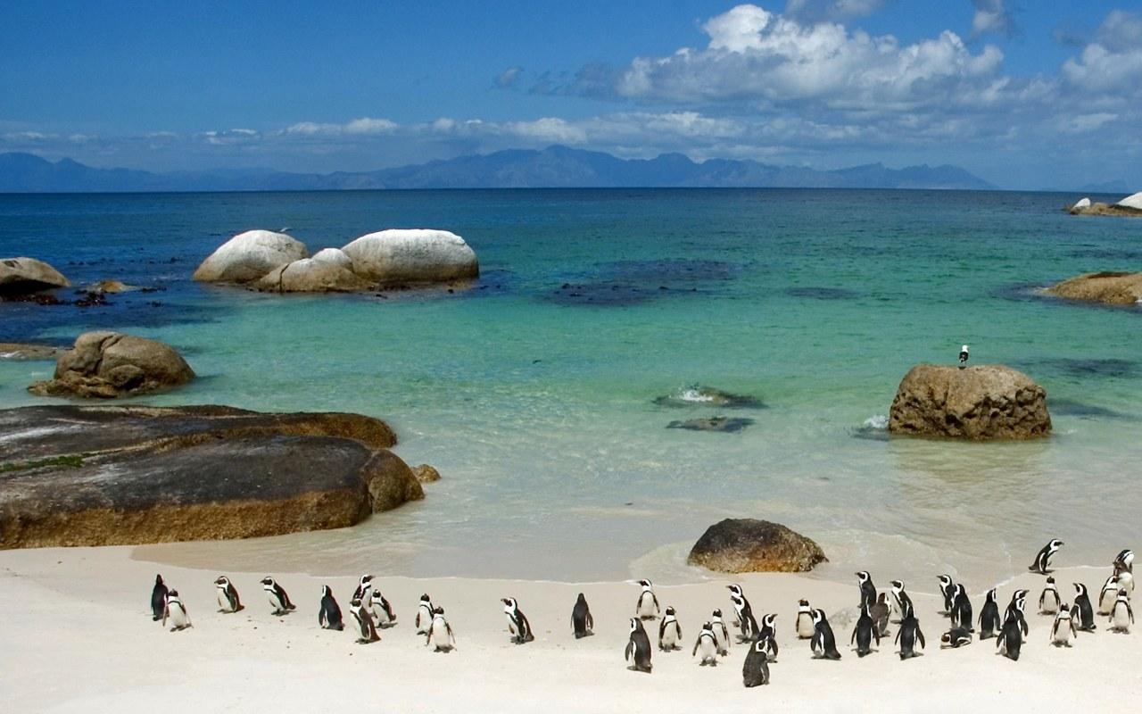 South Africa Tourism
