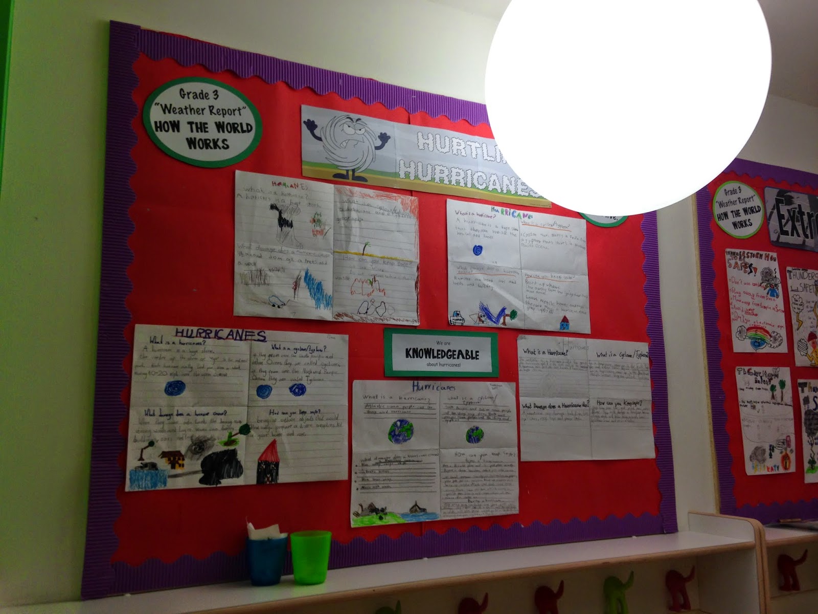 A Crucial Week: Our "How the World Works" unit of inquiry in pictures