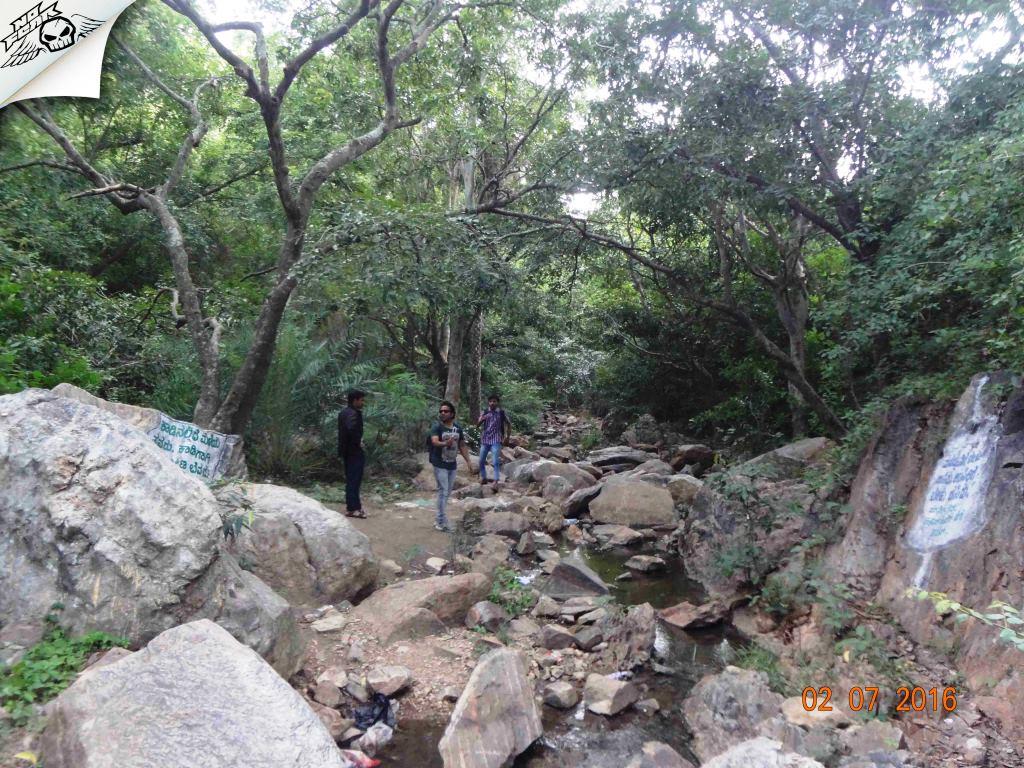 Pearl valley (Muthayala maduvu) and Thattekere - Meet my new beast 02 ...