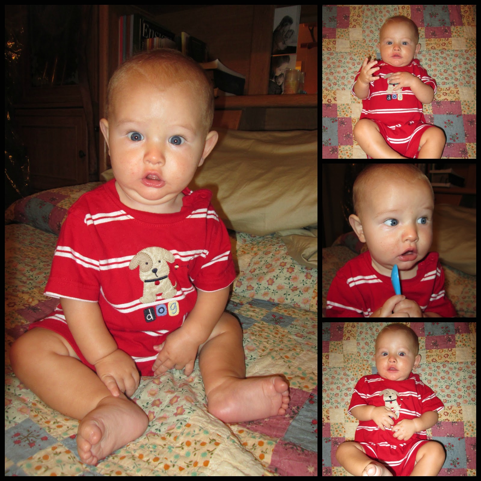 ELLISON: 27 Weeks Old