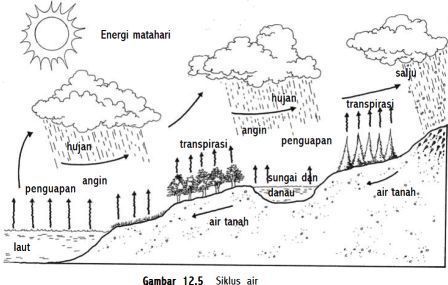 SMP NEGERI 3 BOBOTSARI: HubunganAntar Komponen Ekosistem