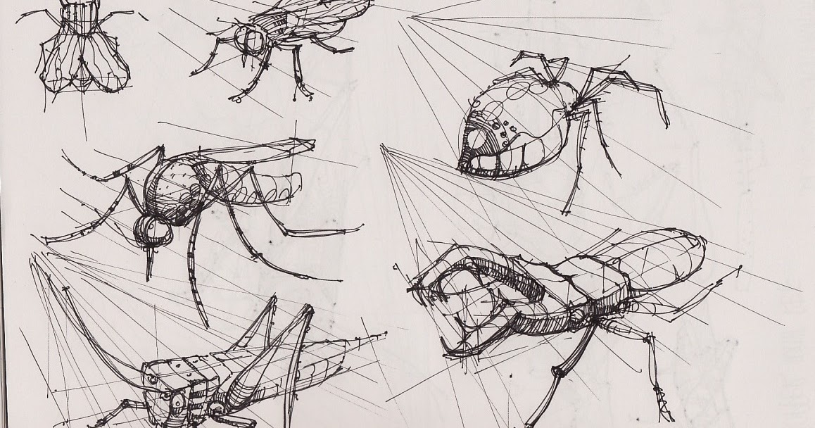 Louis learns to draw: Arthropod Weekly Review
