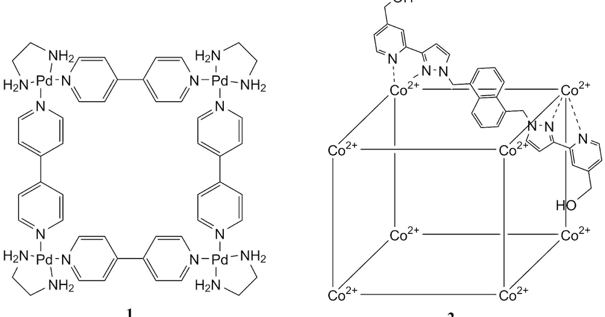 Self-Assembled Metal Cage Complex Catalysis