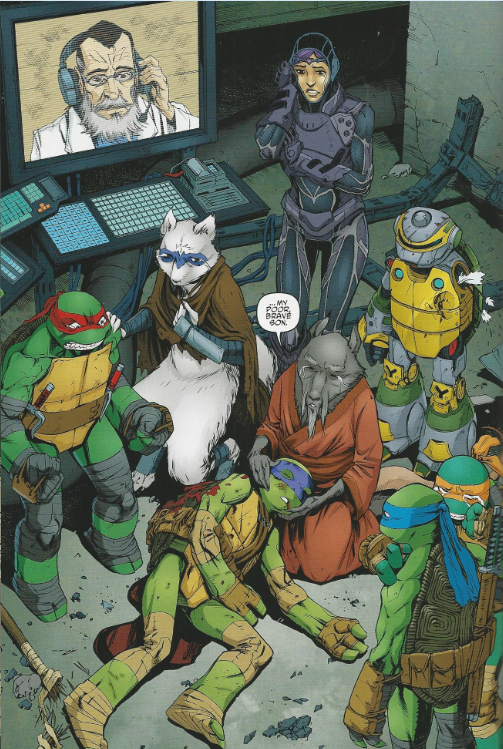 TMNT Entity: TMNT (IDW) #44