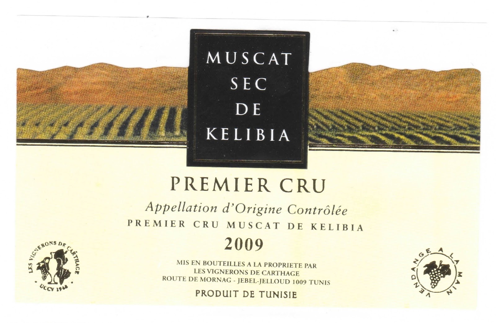 ذاكرة قليبية Mémoire de KELIBIA - Mohamed HAMDANE: La cave du MUSCAT de ...