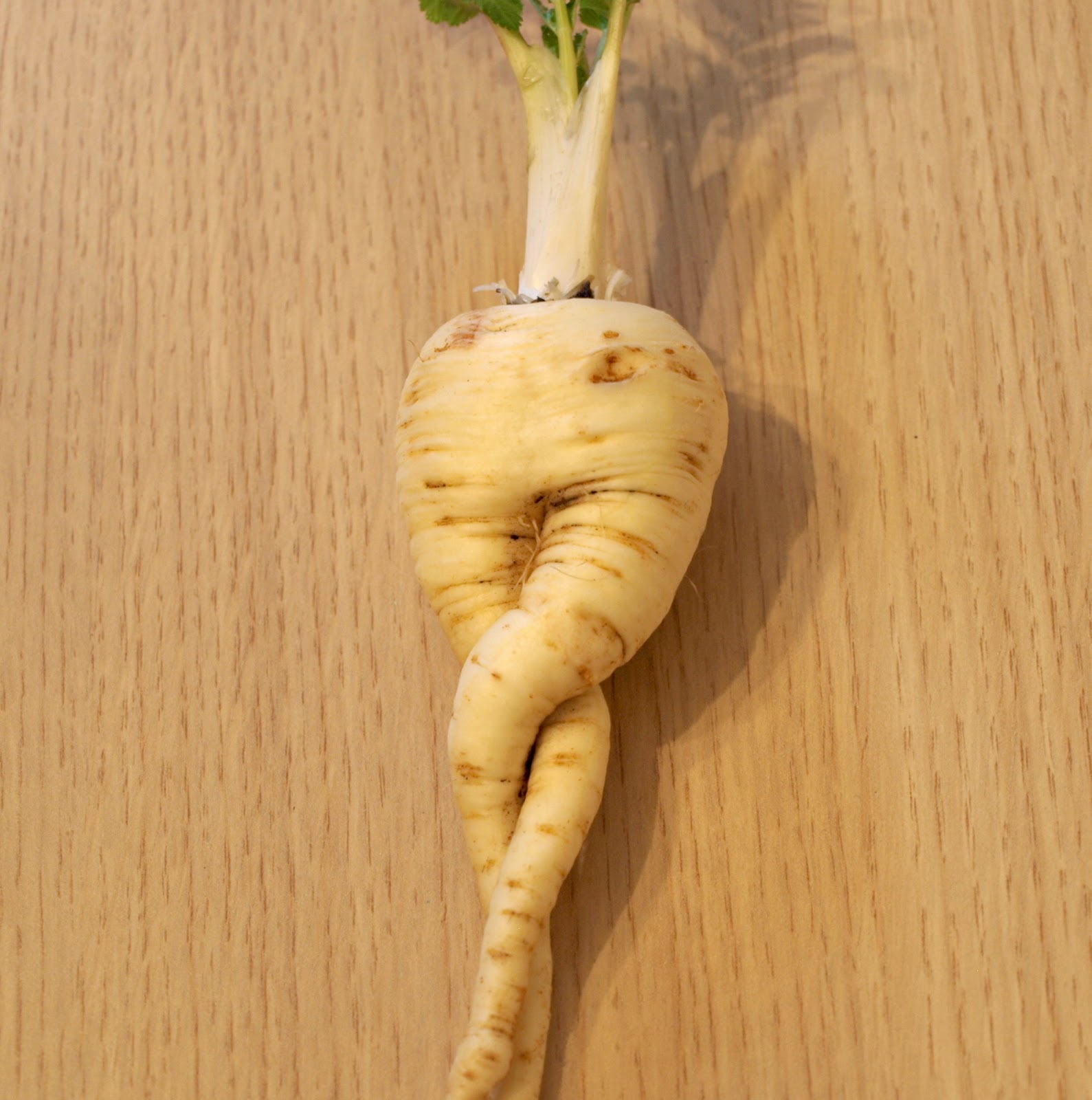 Mark's Veg Plot: The last of the Parsnips
