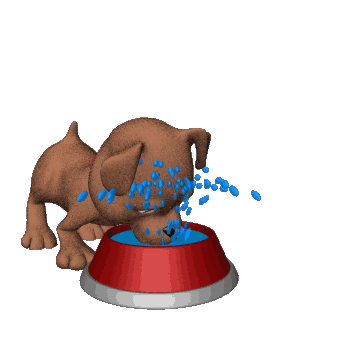 ® Colección de Gifs ®: PERROS