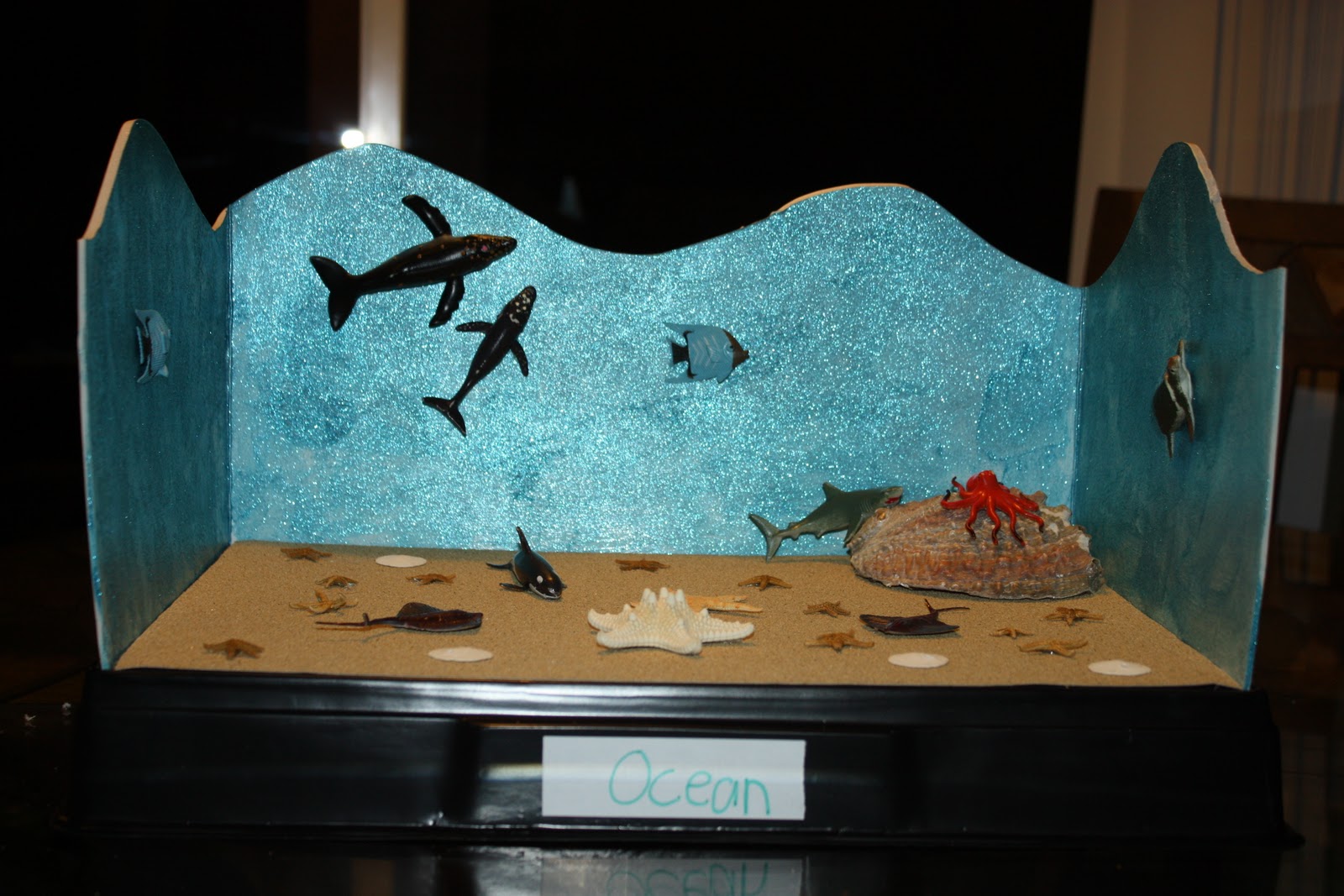Our Family's Journey: Colonial Day, Ocean Diorama, & Historical Museum