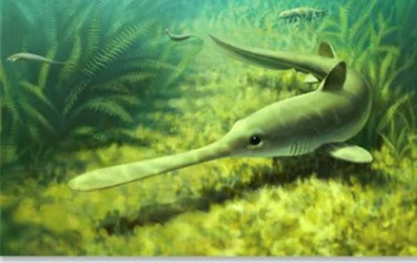 The Meniscus: News Trip! Science on the Ancient Seas