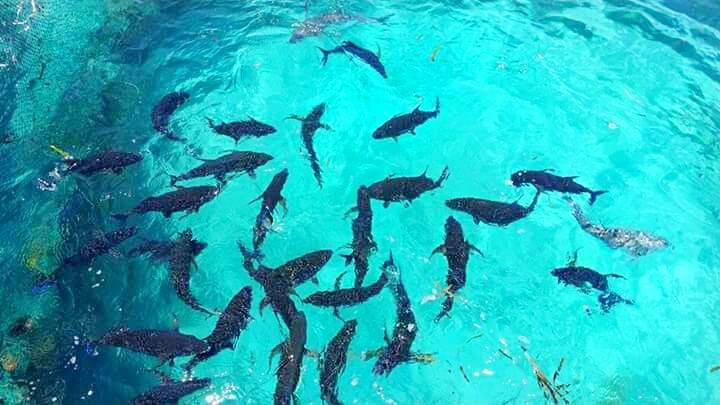 Subic Beach | The Hidden Gem in Sorsogon - The Pinoy Traveler