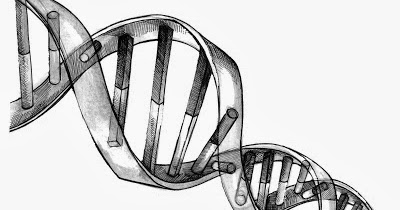 Apuntes de Biología Molecular: Genes y genomas