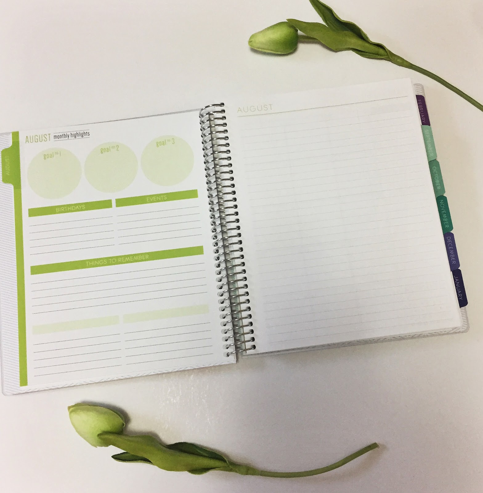 The Best Planner for Law School + Free Promo Code! - The Legal Duchess