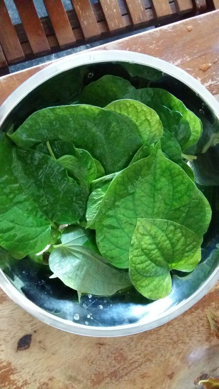 我学.我思.我写: 香草饭（nasi ulam)