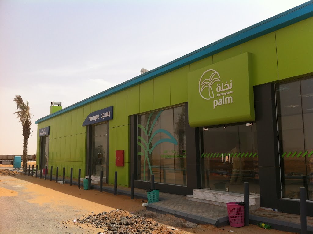 ساسكو - Arabic News Collections