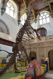 The Pterosaur Database: Wukongopterus Lii