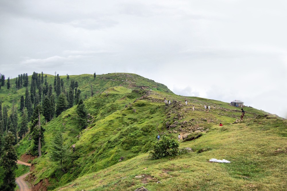 beauty of kashmir: ABOUT TOli peer and BANJOSA