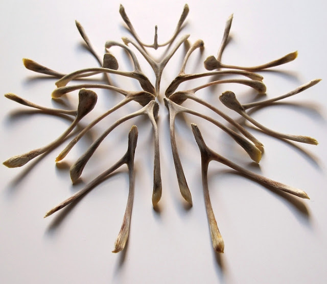 If It's Hip It's Here | The latest in global design and creativity