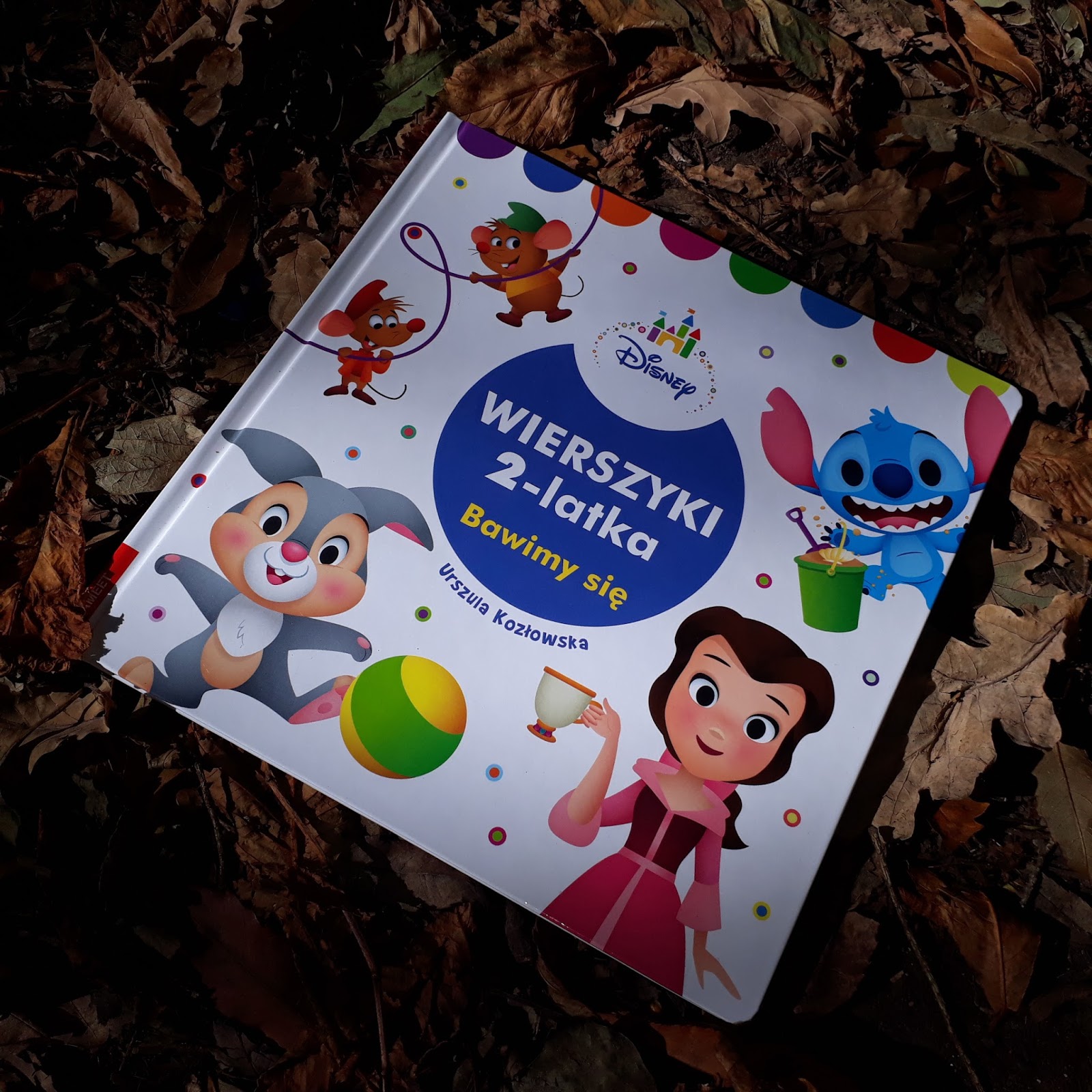 Wydawnictwo AMEET dla 2-latków