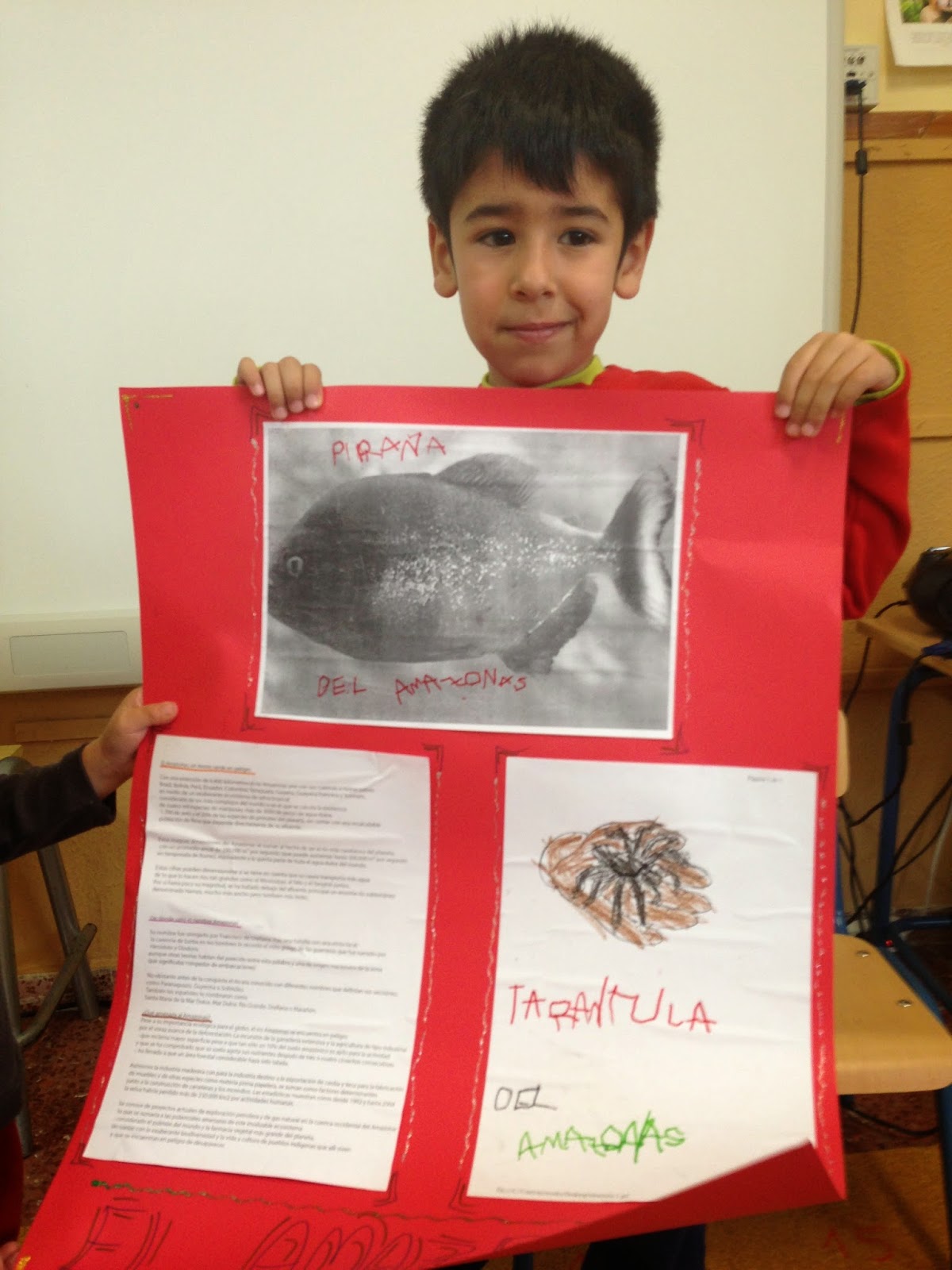 MI AULA DIVERTIDA: PROYECTO AMAZONAS