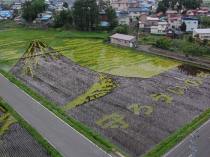 Art works in Rice Field - Japan Art Working | World Photo Collection ...