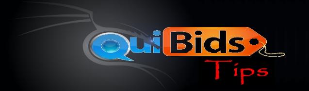 Quibids Tips and Tricks - Quibids Master