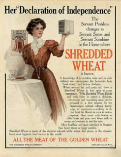 Psychology of Advertising: Advertising's Revealing Window on America