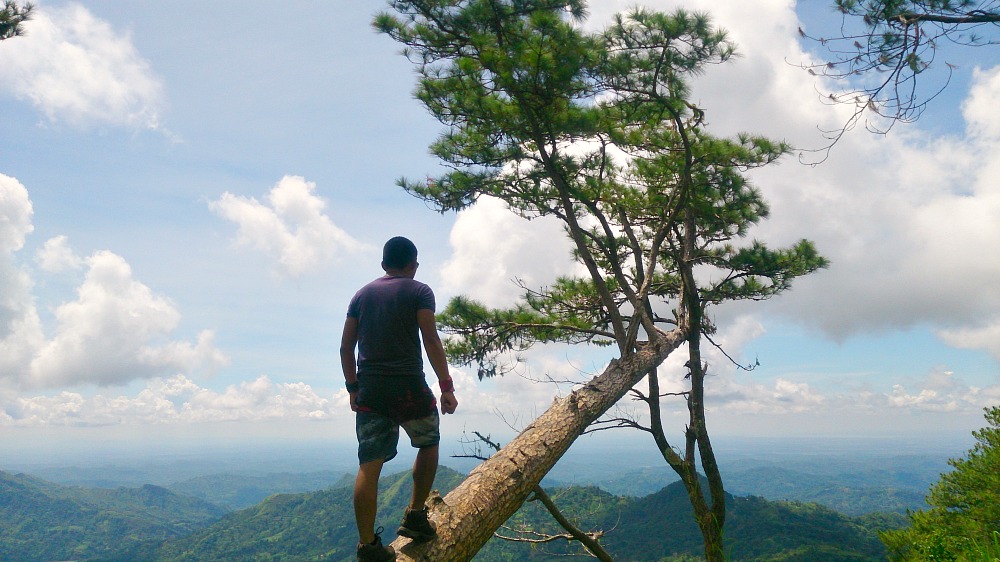 Bucari Pine Forest in Leon Iloilo