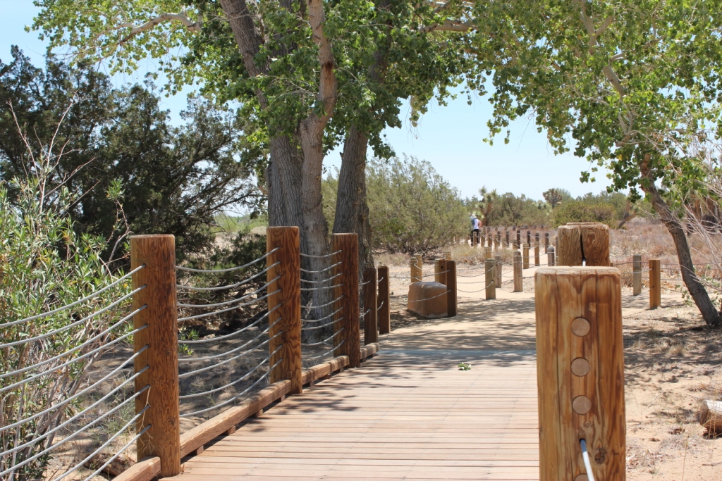 Prime Desert Woodland Preserve in Lancaster, CA